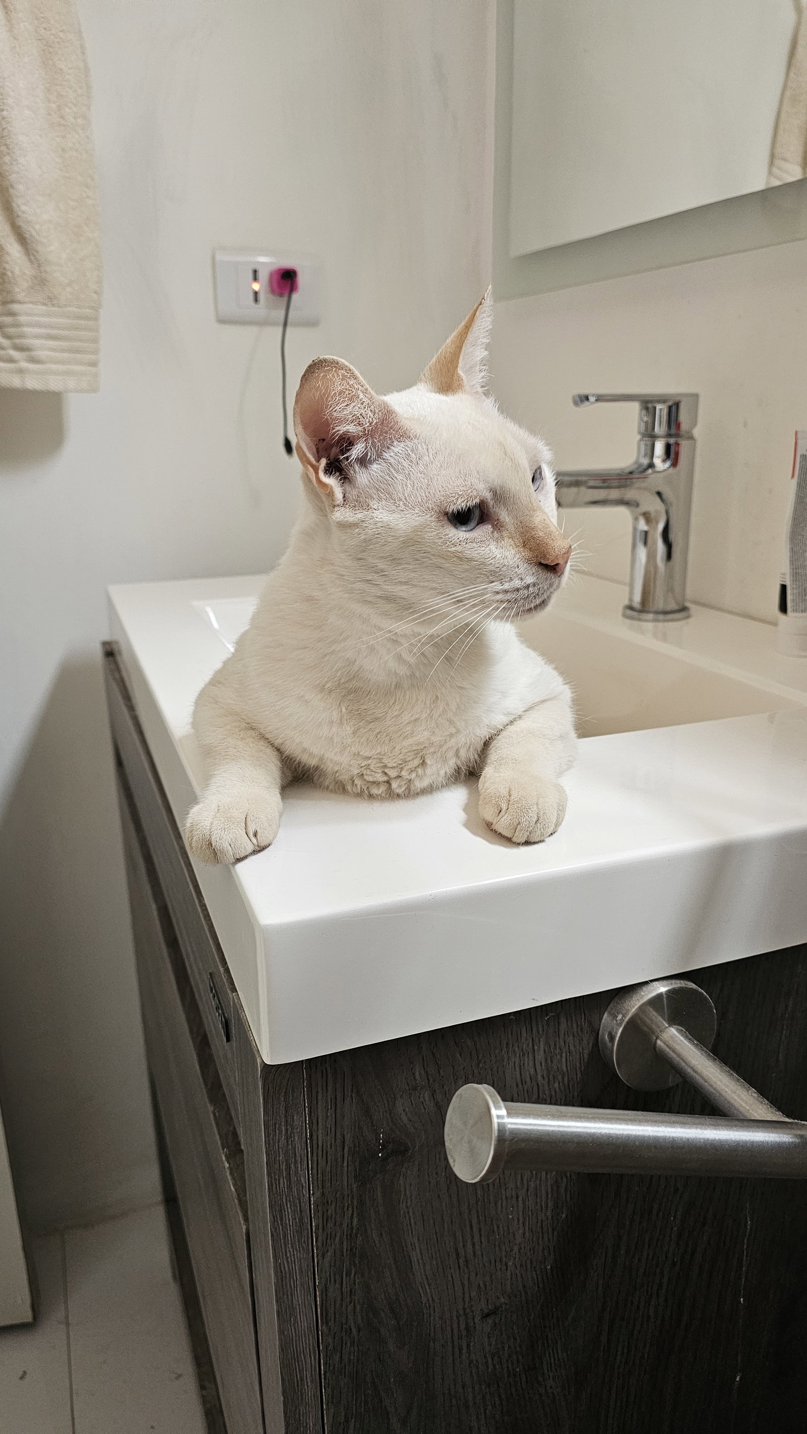 Mariana | Casting Call Club