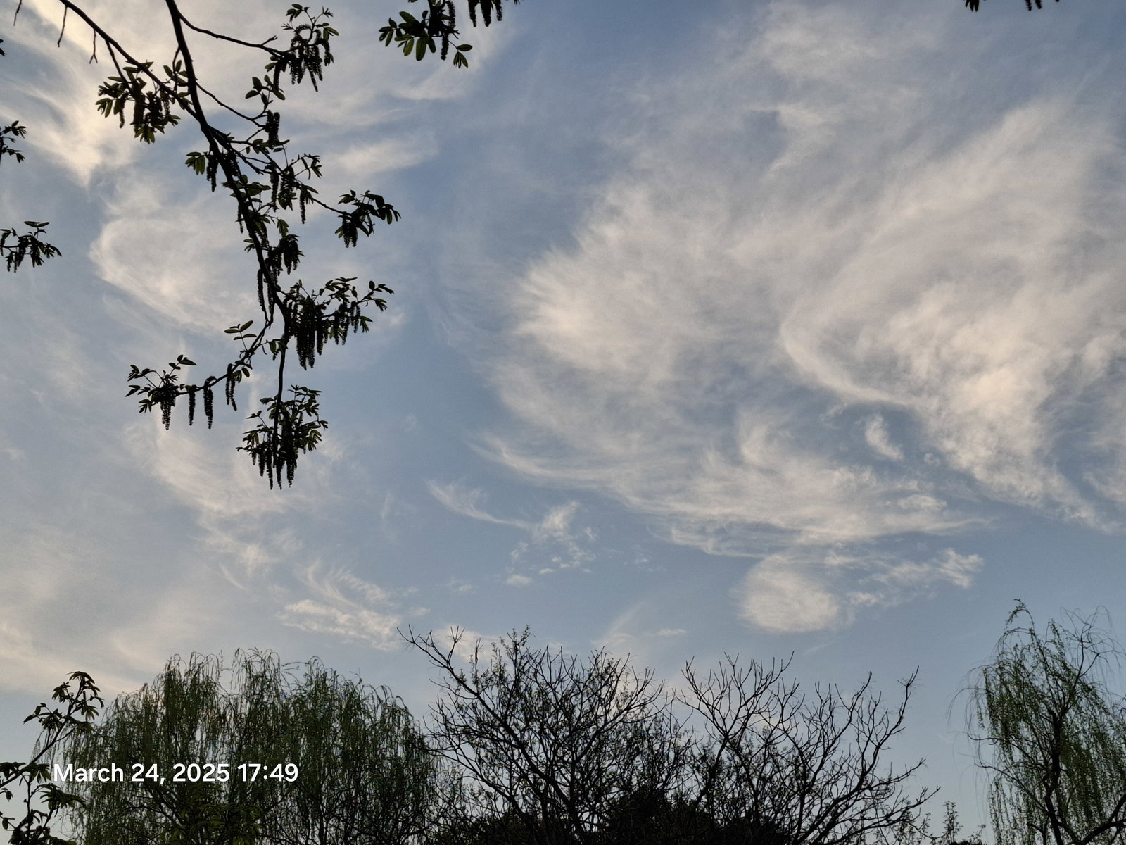 Rainbow | Casting Call Club