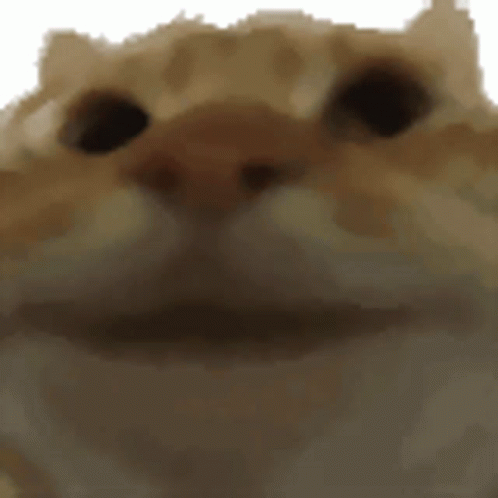 Jest | Casting Call Club