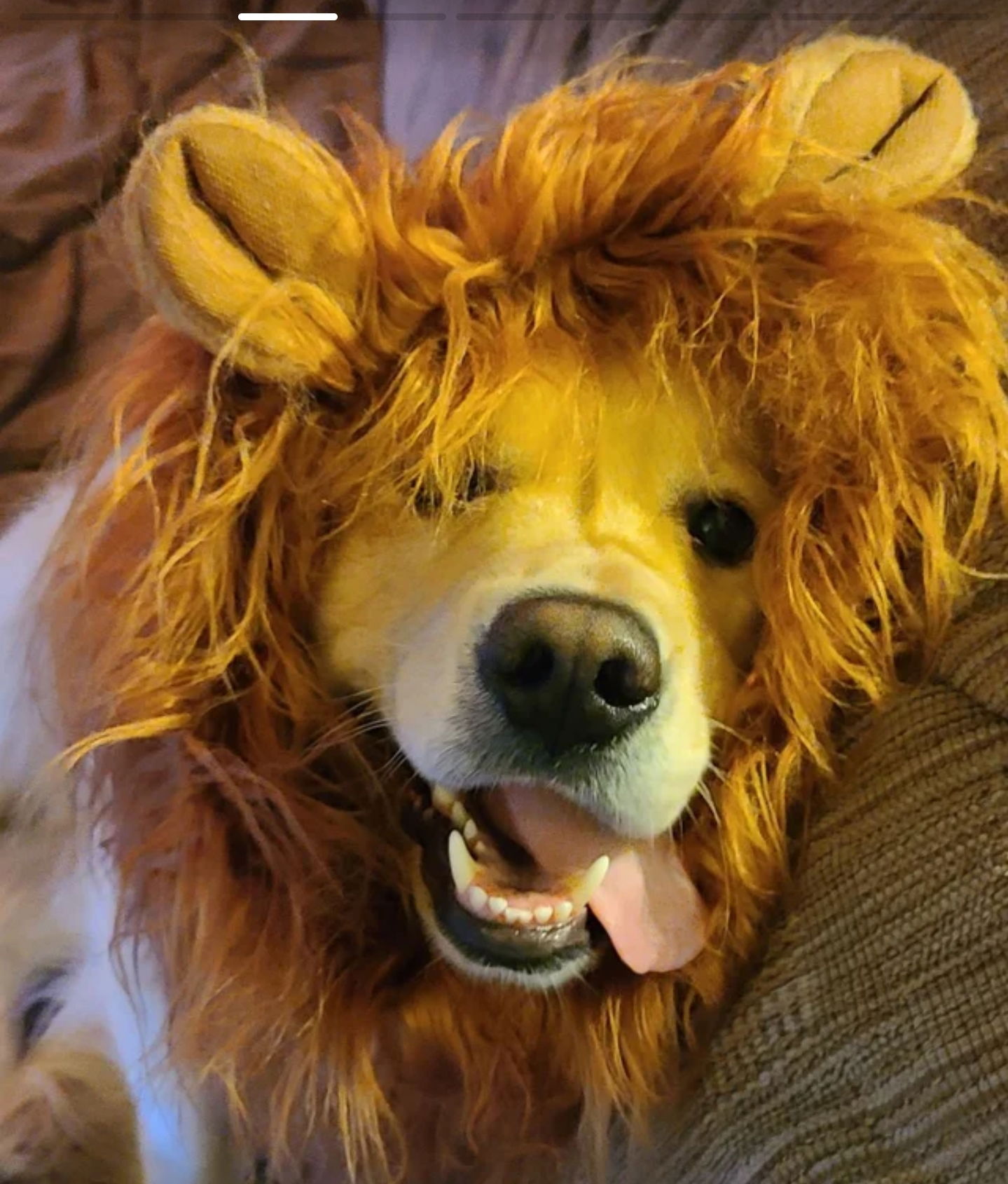 JDAB for Kuromine Asahi | Casting Call Club