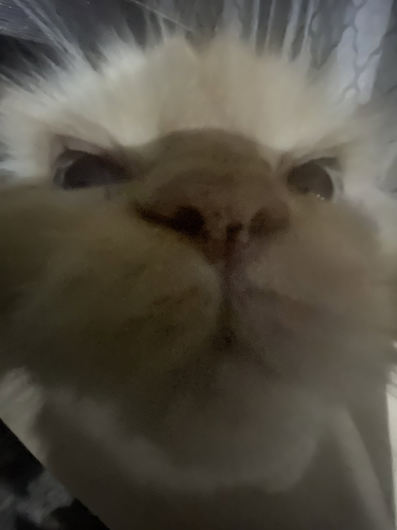 Jay Kennedy | Casting Call Club