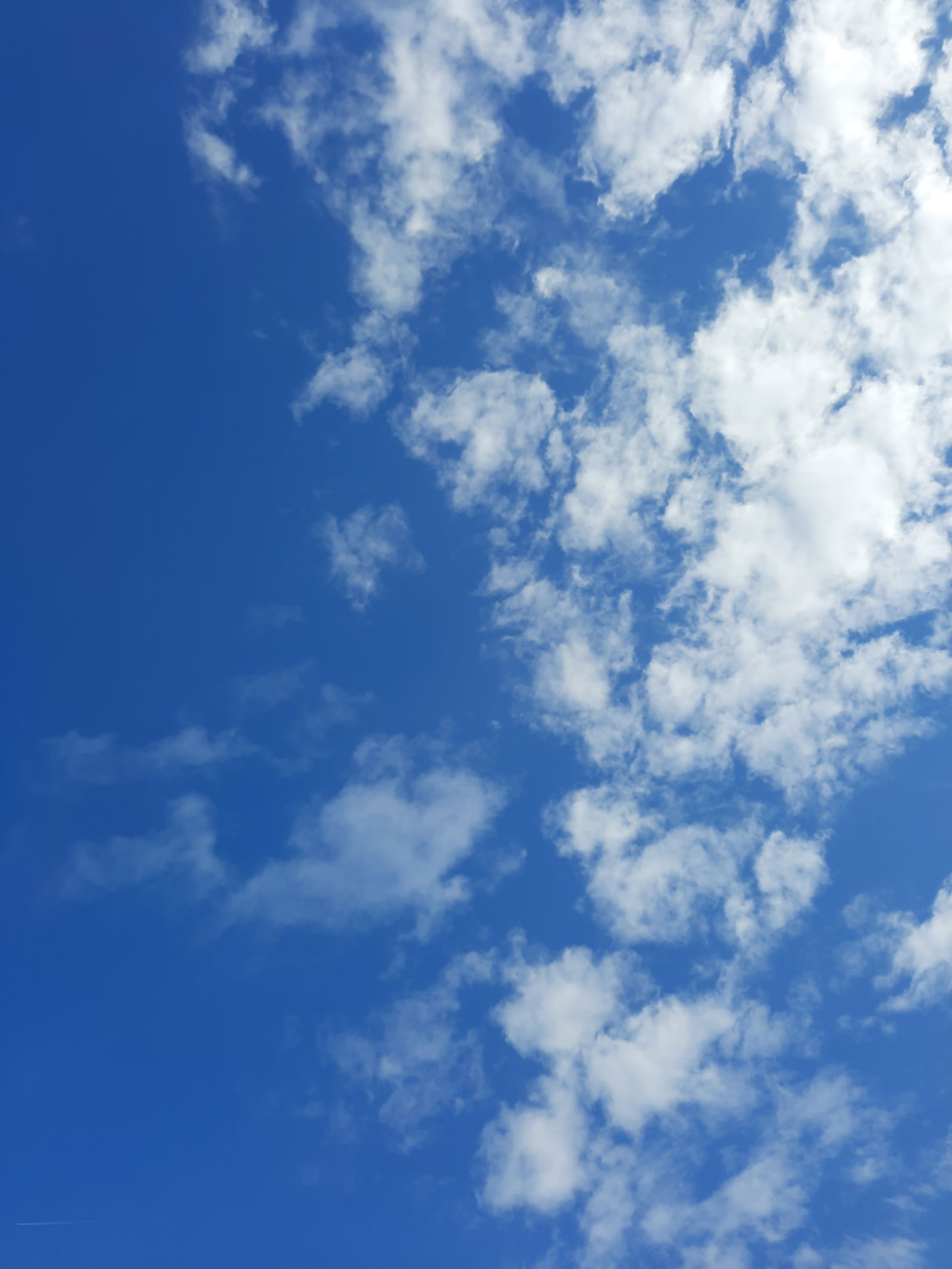 Disventure camp voice over | Casting Call Club