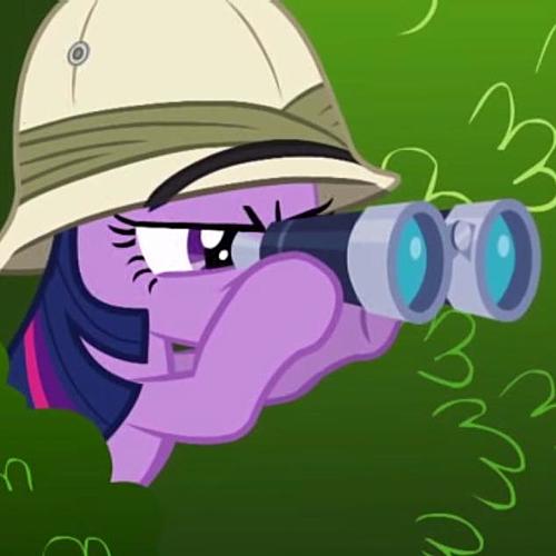 Twilight's Night After Santa Hooves MLP Fanfic Reading (Christmas ...